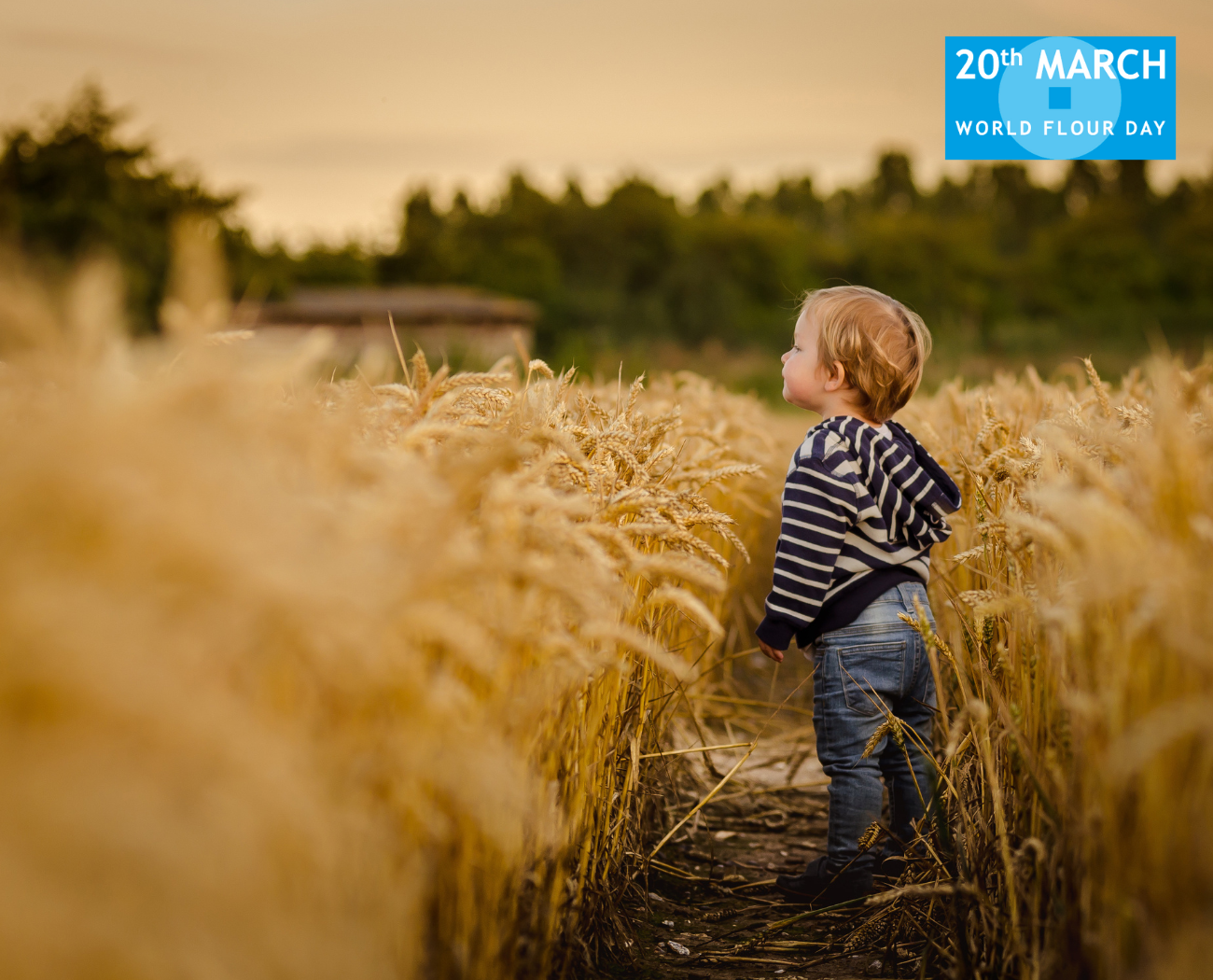 World Flour Day 2023