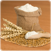 Stern Ingredients India